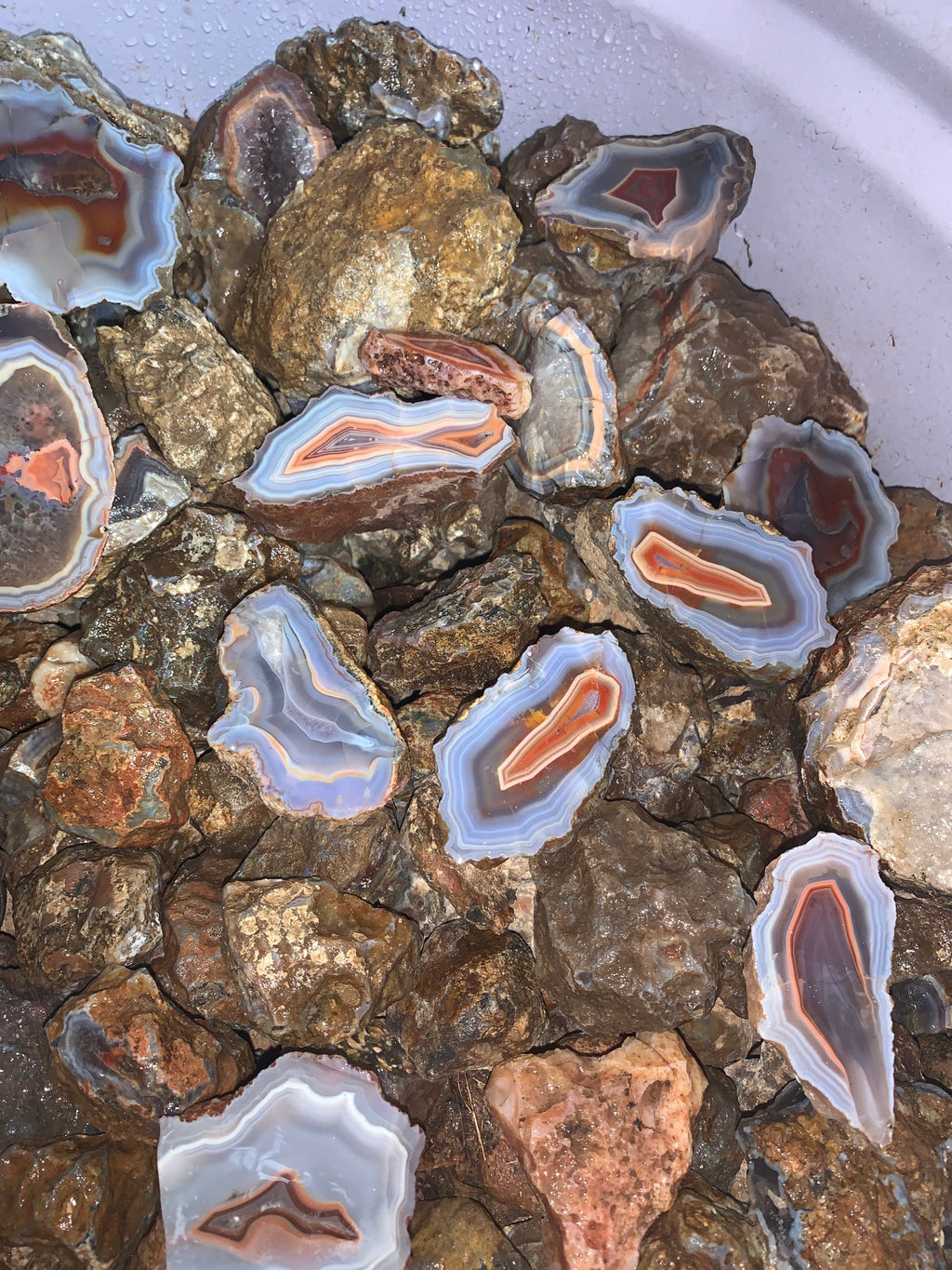 Rough Rock | Rough Agates for Sale | Highland Park Lapidary – Page 3