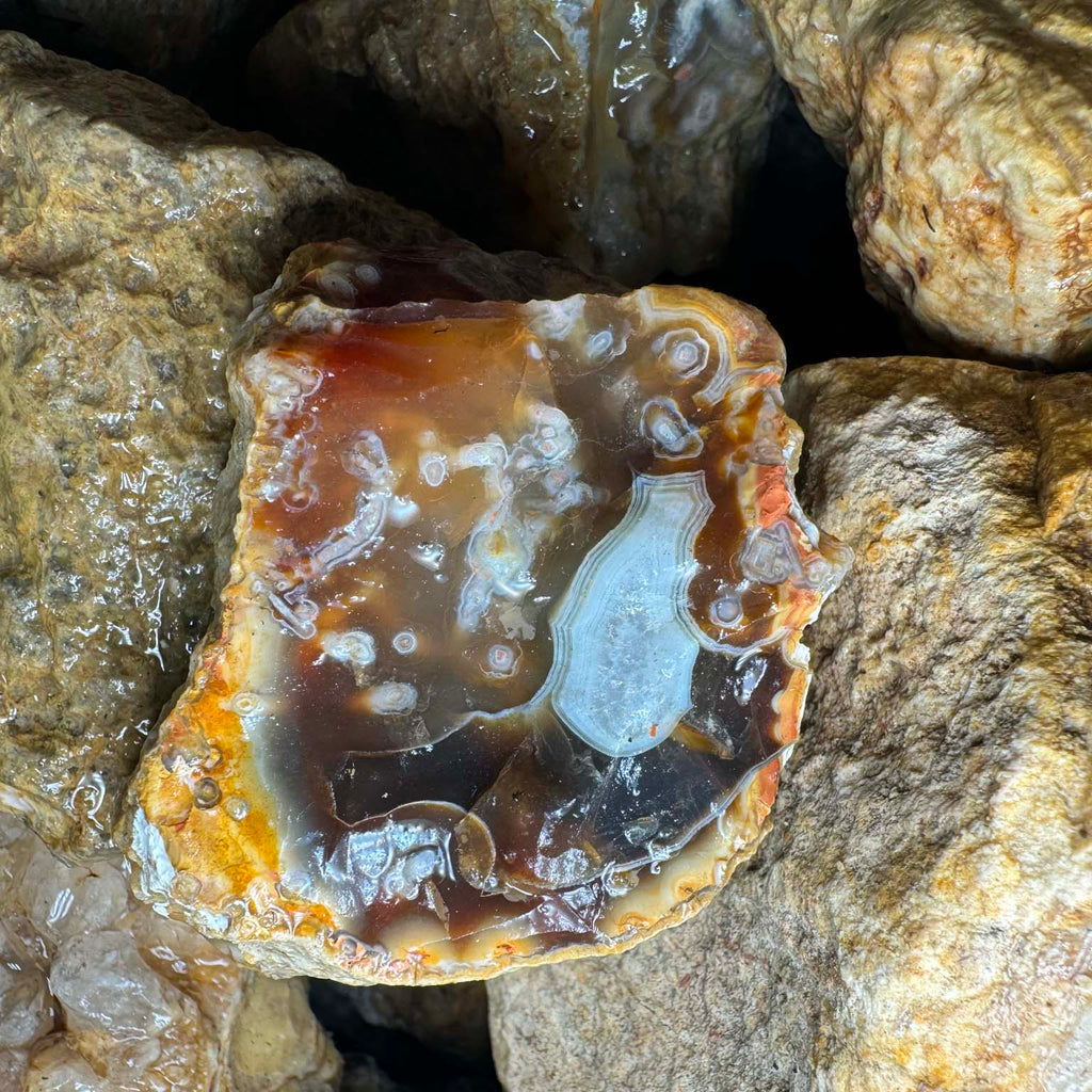 Phantom Needle Agate | Rough Rock