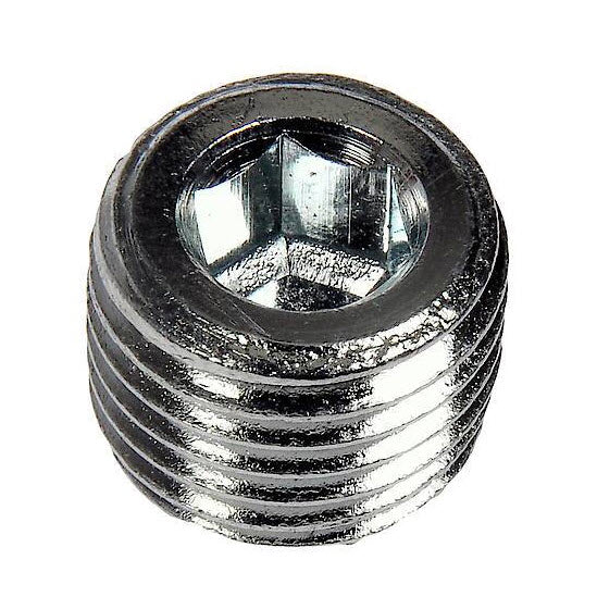 1/8 inch NPT pipe plug for first generation EverClean